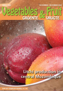 Magazine | Vegetables & Fruit | Groente & Vrugte