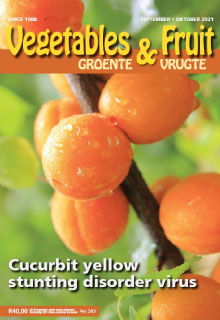 Magazine | Vegetables & Fruit | Groente & Vrugte